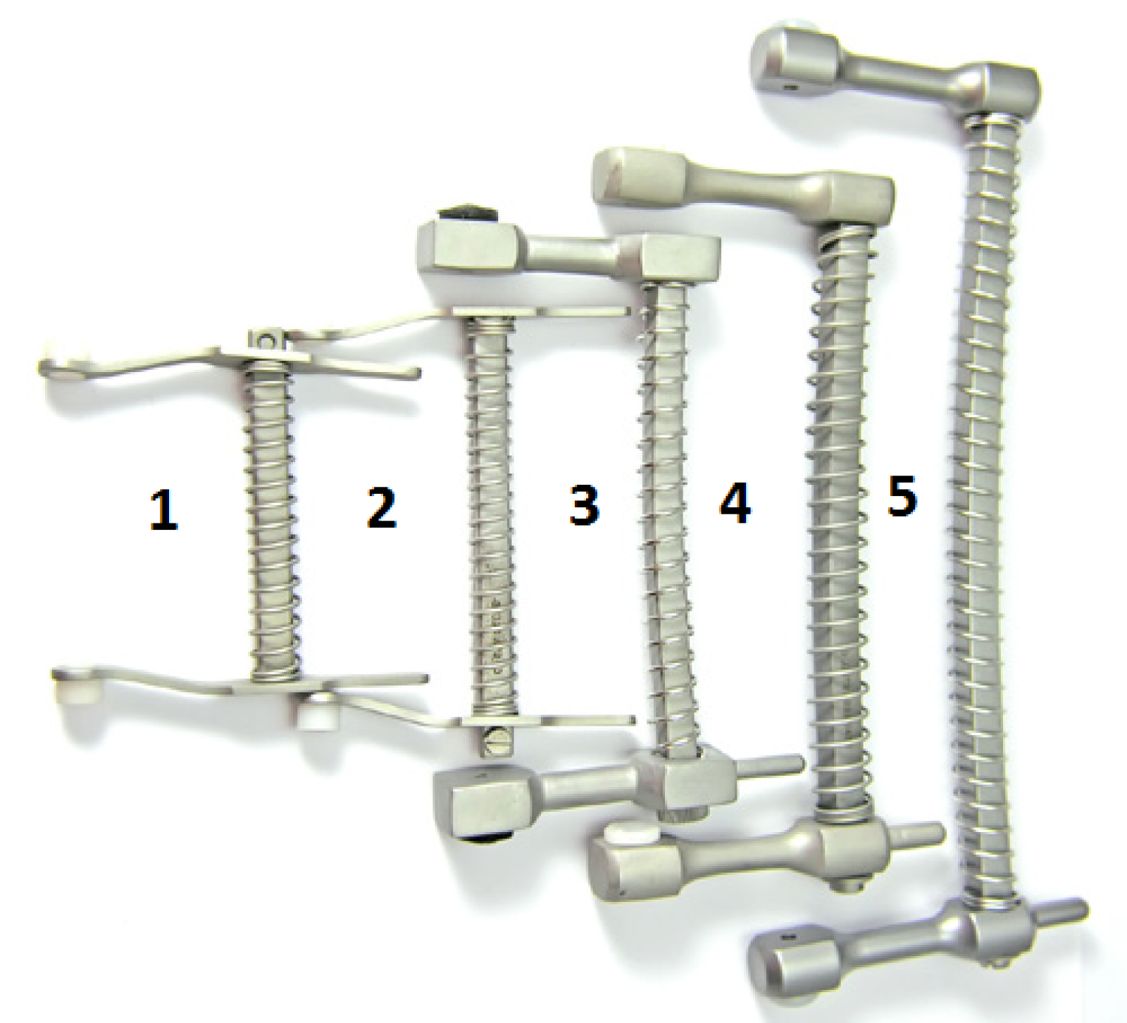 Mouth Gag Spring Loaded